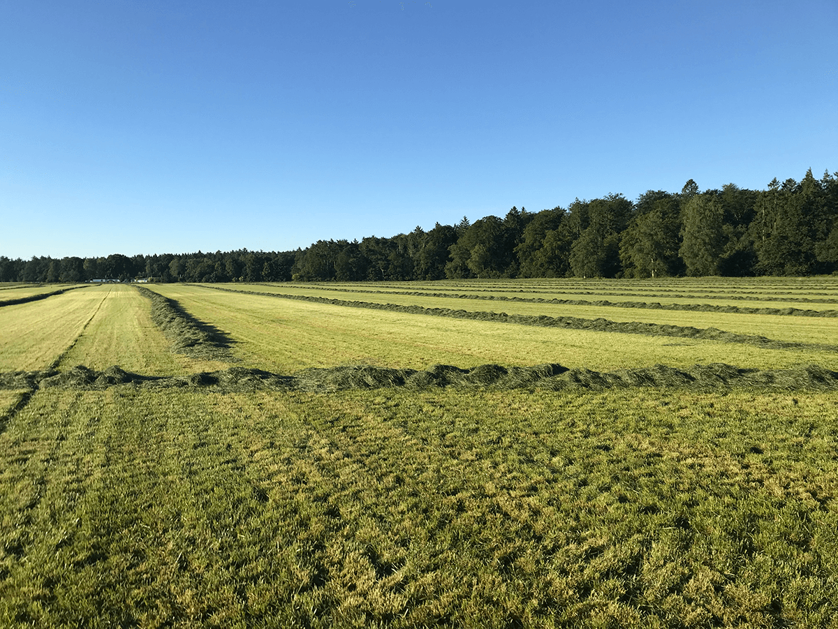 Ensiling guide - Provita Supplements - Bonsilage